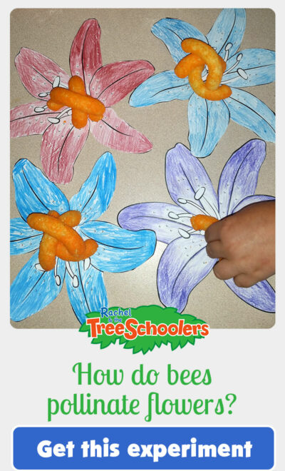Summer of Science Week 6 - What is Pollination? - TreeSchoolers
