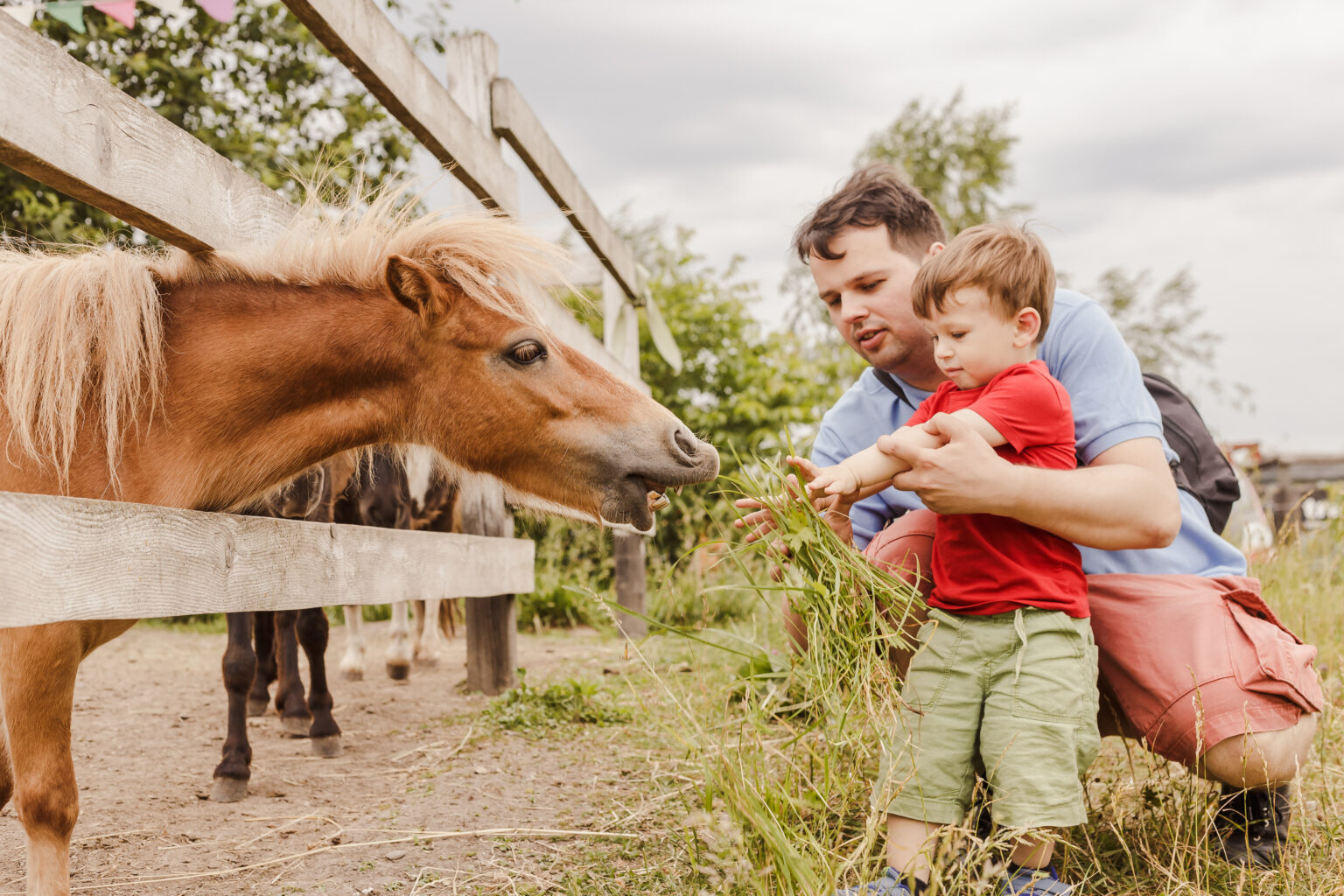 It’s a Great Time for Learning about Farm Animals - Signing Time